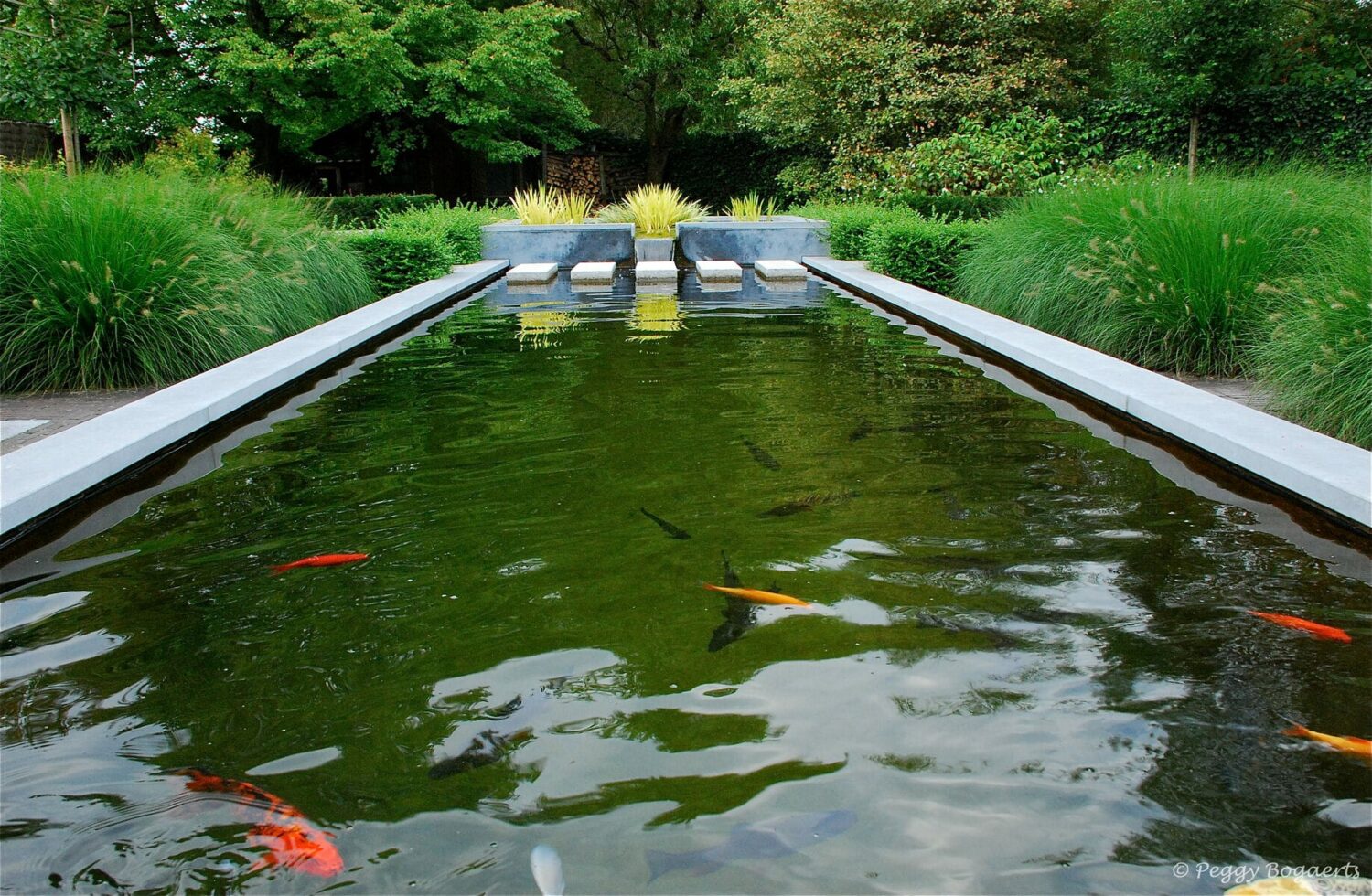 Ontwerp en aanleg tuinen, vijvers en boomhutten